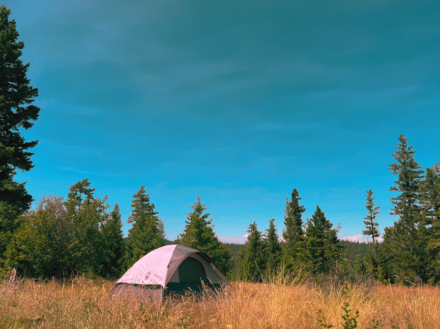 On Choosing the Raven - Design For Mankind